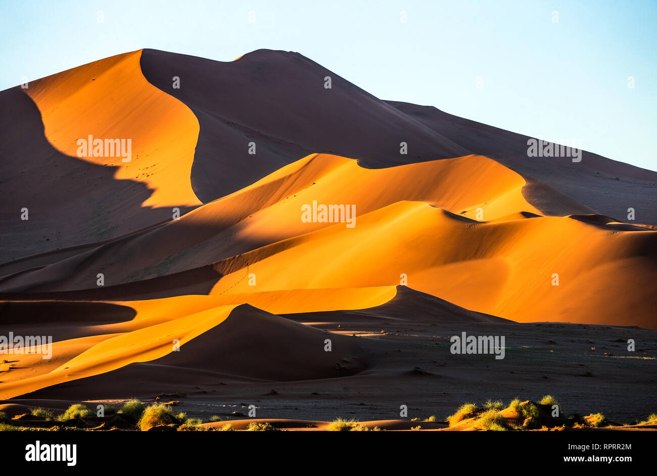 Dunes of the Sossusvlei. Beautiful shapes. Stunning light and color ...