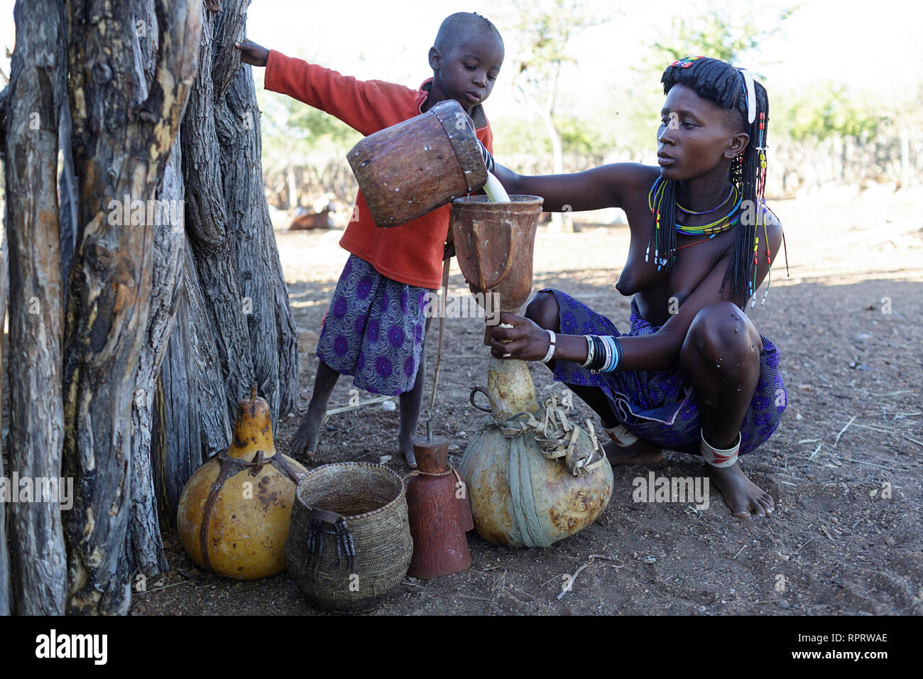 Zemba woman pouring milk in their morning routine in a village near ...