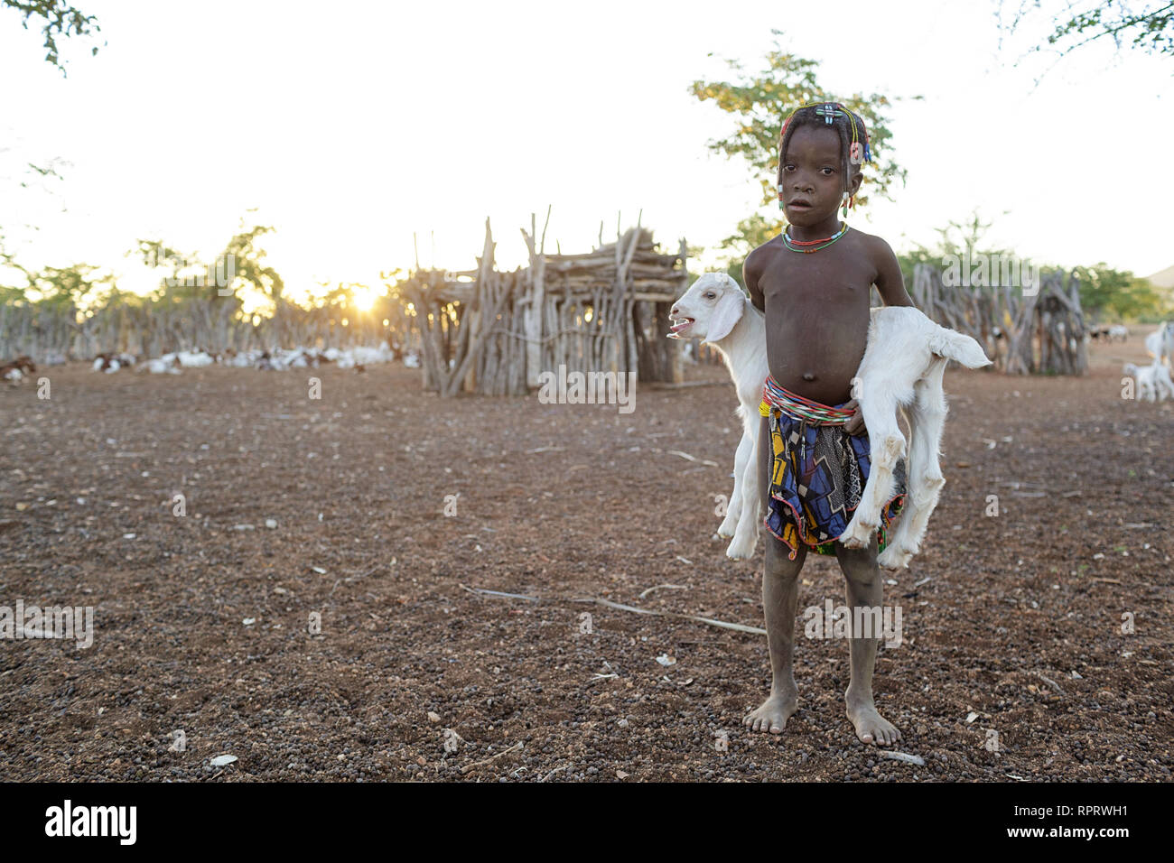 Cute Zemba girl holding a lamb in a typical village near Epupa, Namibia ...