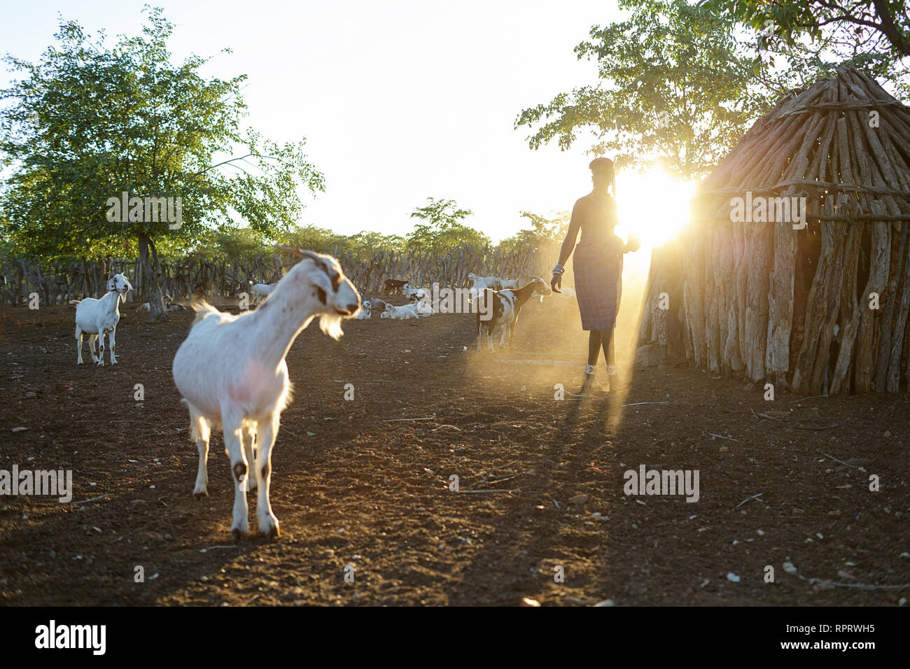 Zemba people in their morning routine in a village near Epupa, Namibia ...