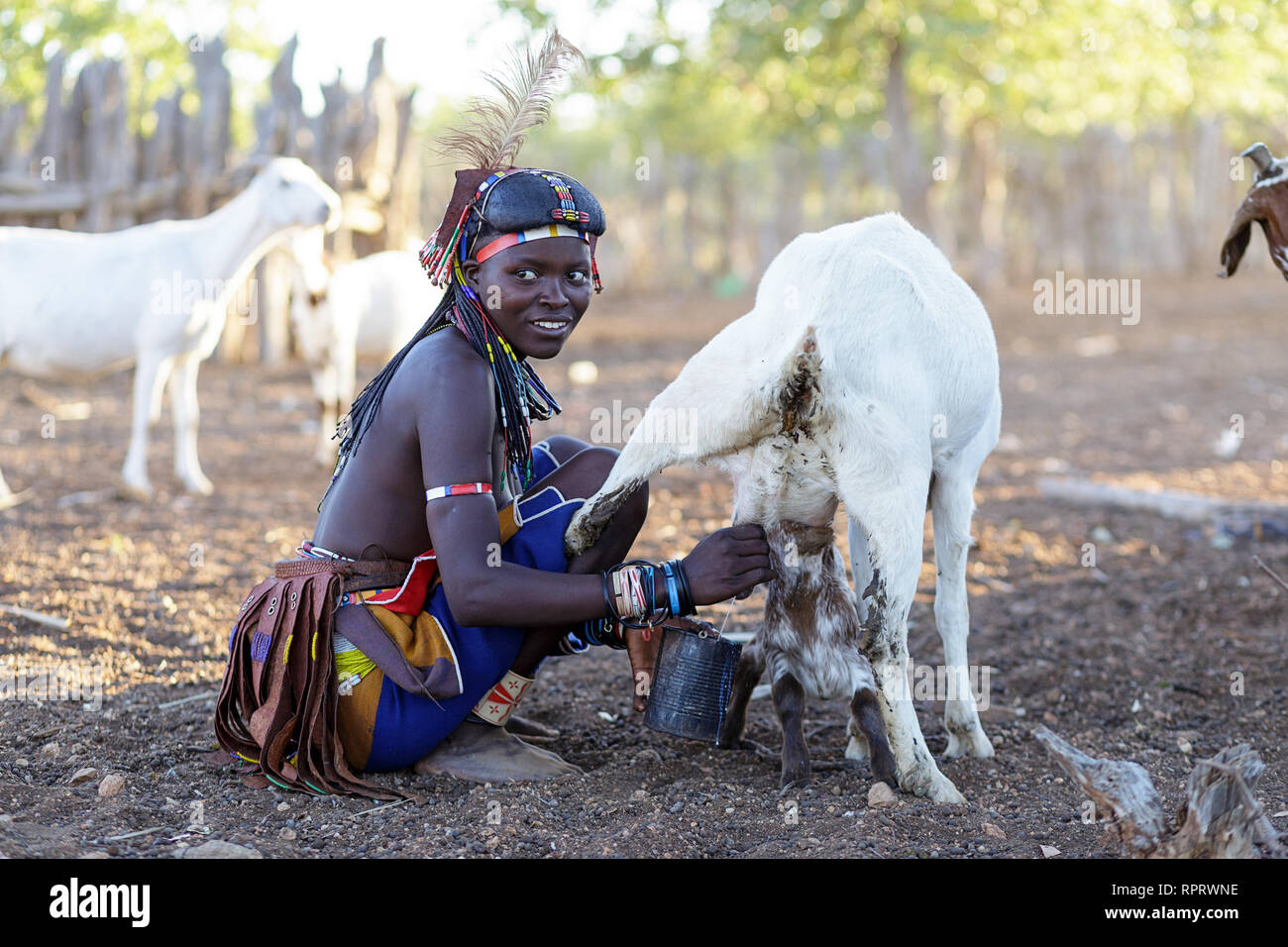 Zemba people in their morning routine in a village near Epupa, Namibia ...