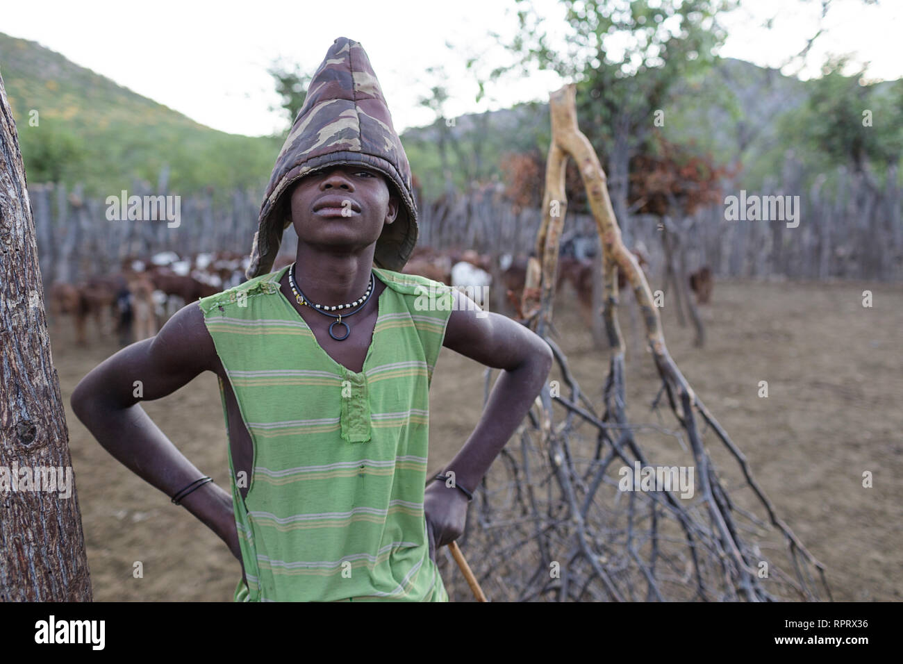 Kaokoland namibia goats village hi-res stock photography and images - Alamy