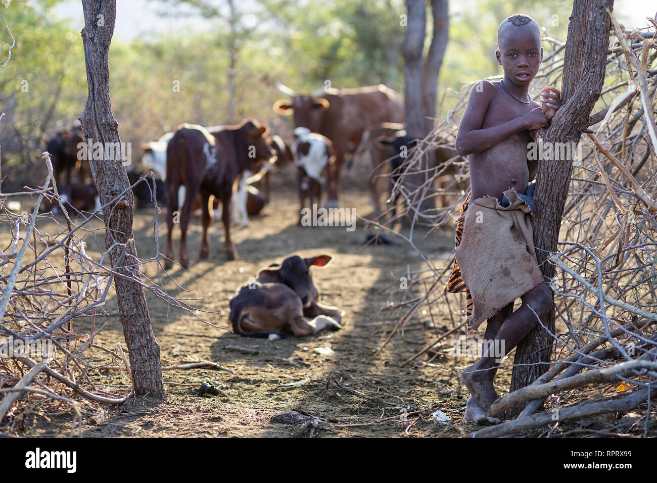 Himba Boy Namibia Africa Stock Photos & Himba Boy Namibia Africa Stock ...