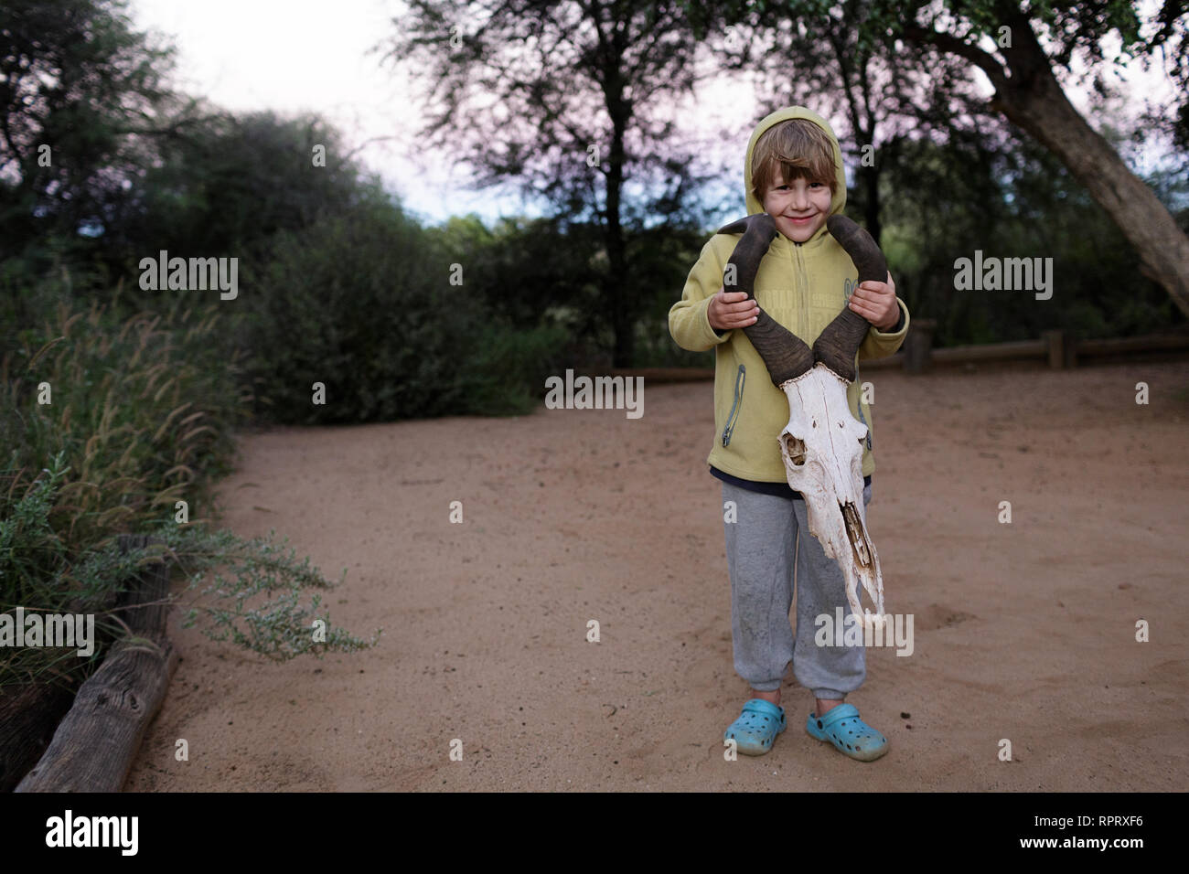 Cute caucasian boy playing with a skull of antelope, Namibia, Africa ...