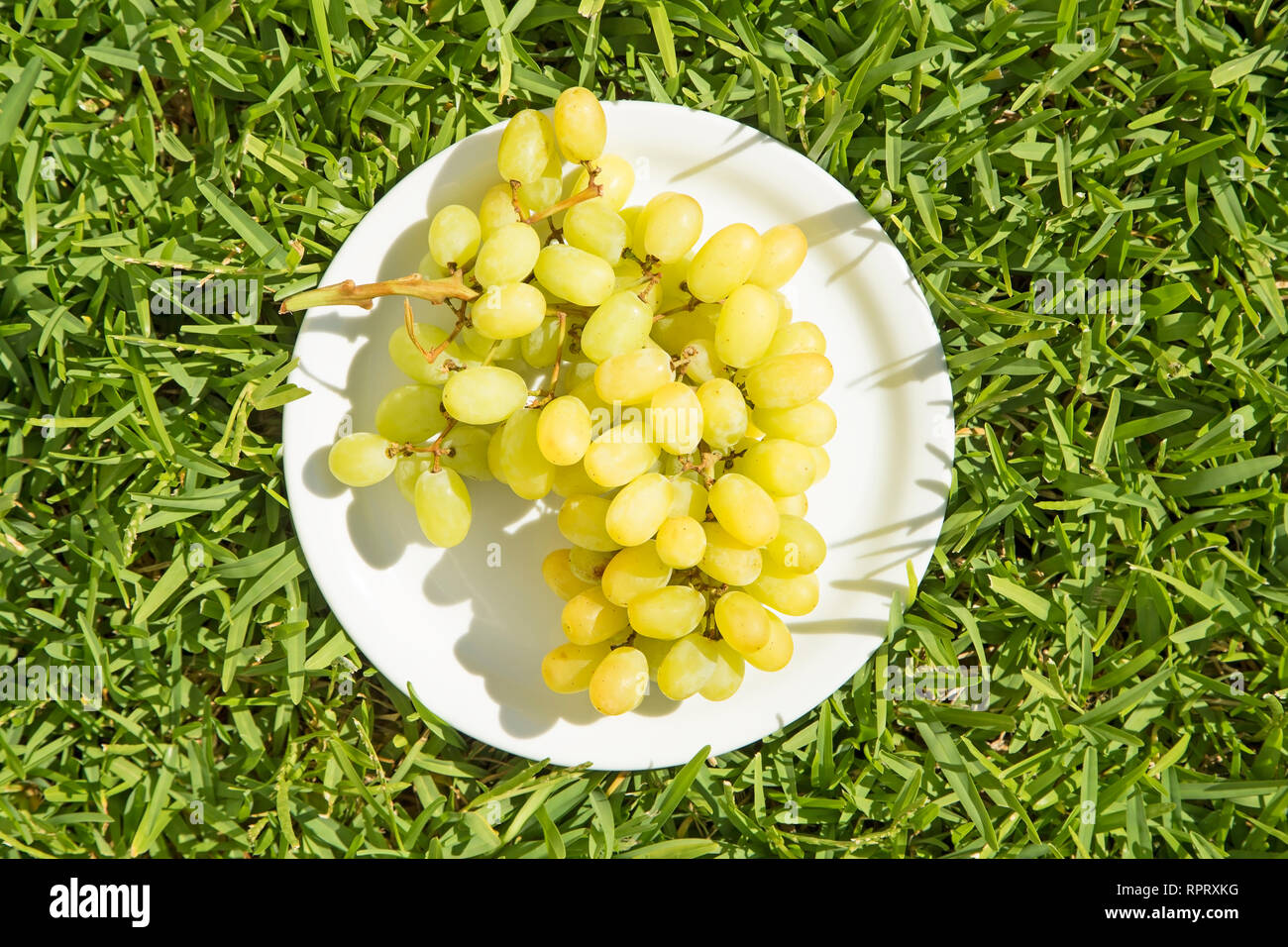 Plate on grass hi-res stock photography and images - Alamy