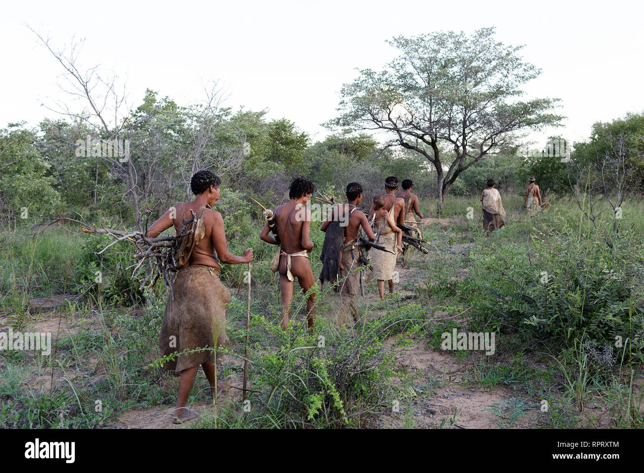 Hunter gathering food hi-res stock photography and images - Alamy