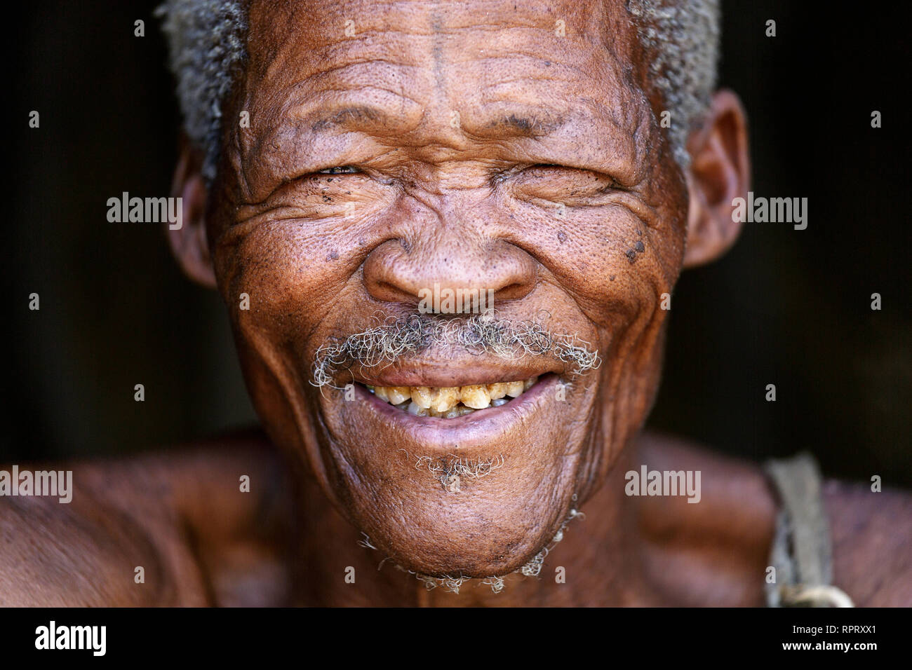 San People Hunting High Resolution Stock Photography and Images - Alamy