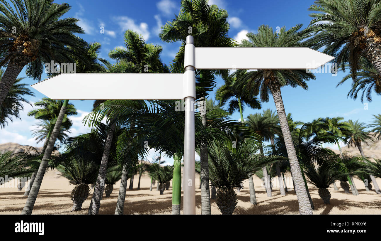 Way choice showing strategy Stock Photo - Alamy