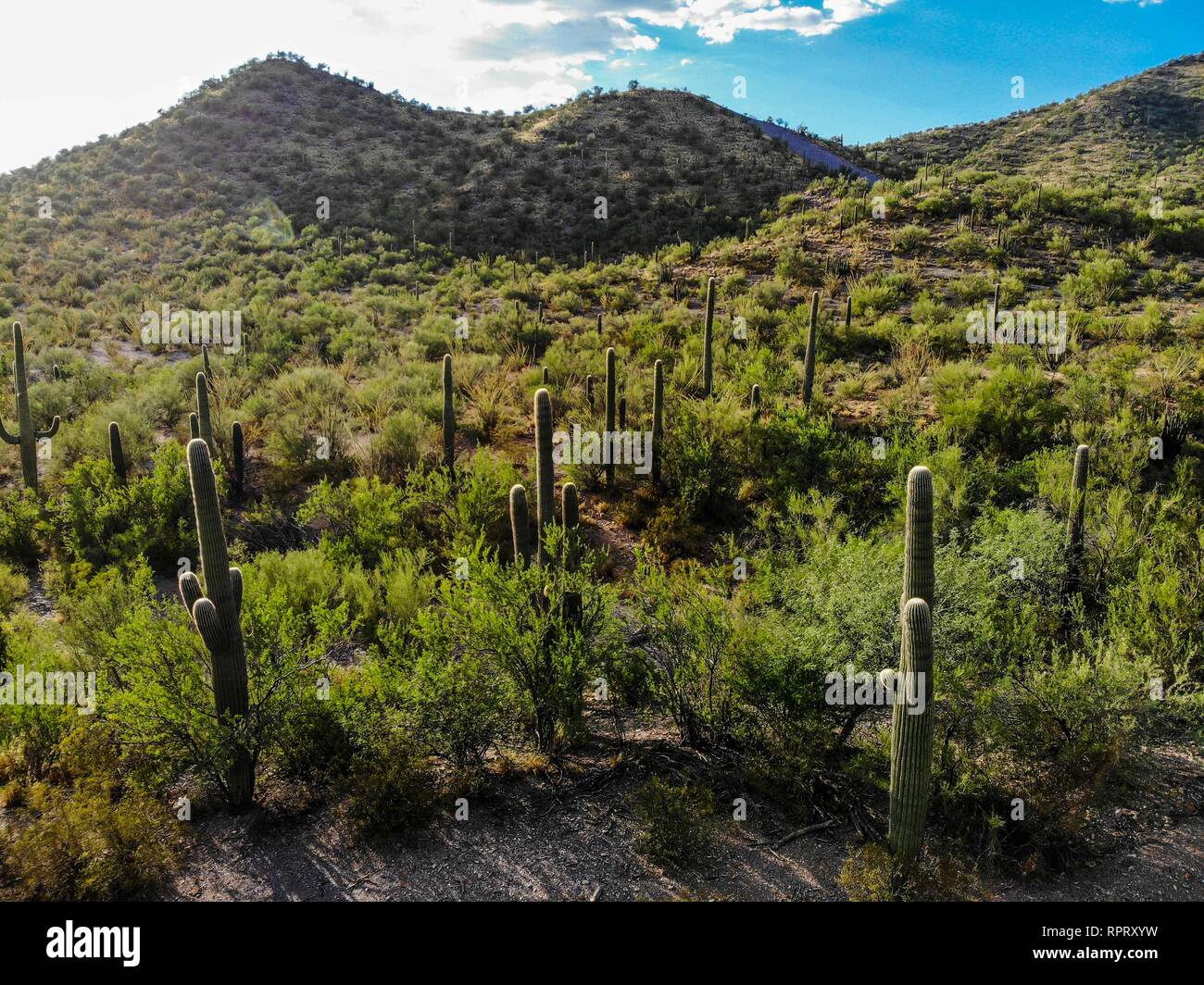 Vista aerea del desierto, Caborca Sonora. Aerial view of the desert ...