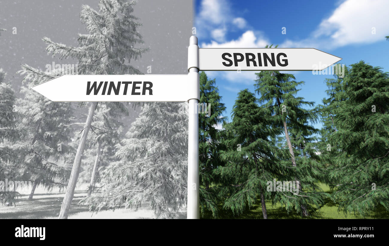 Way choice showing strategy Stock Photo - Alamy