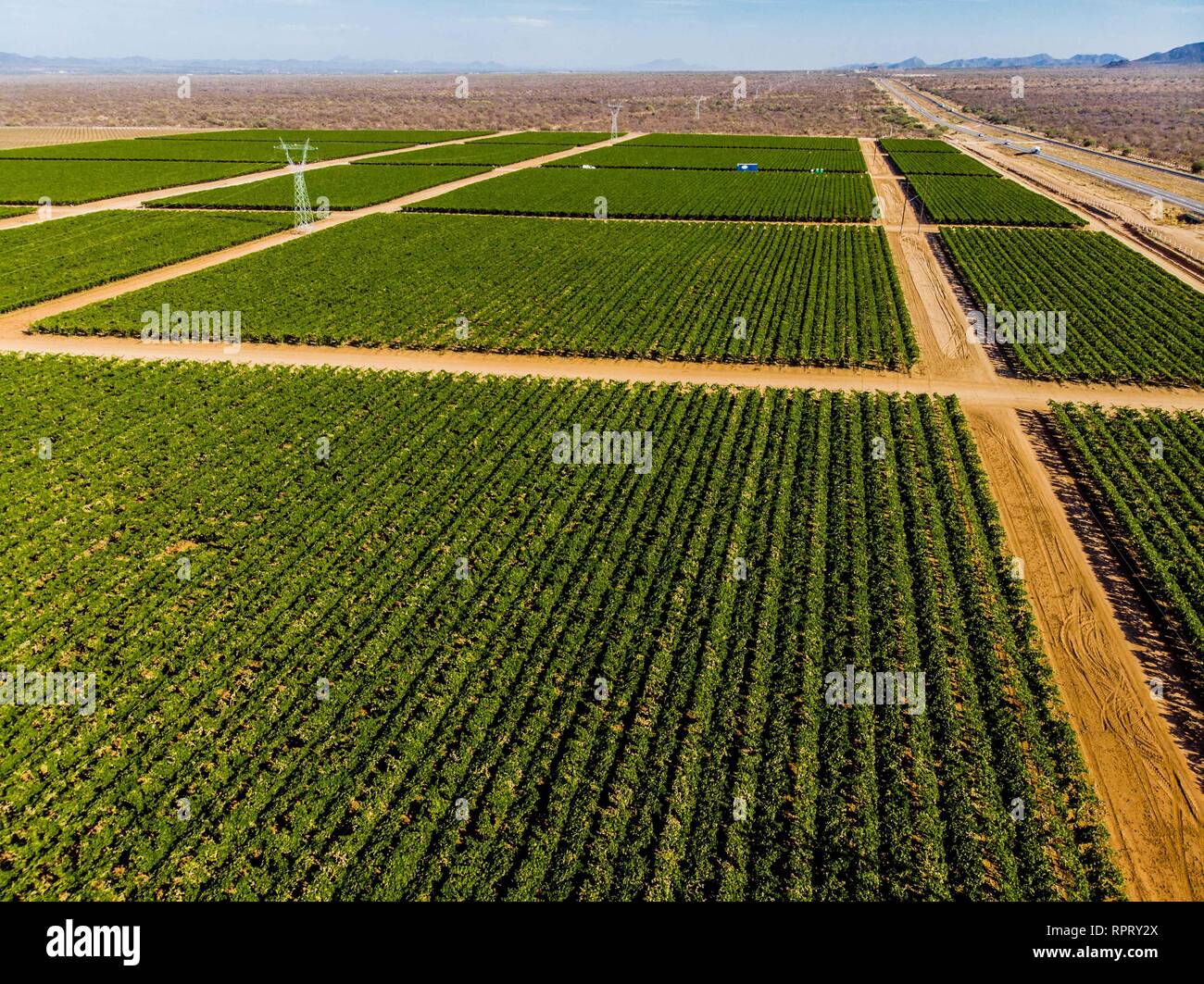 Cosecha de la agricultura hi-res stock photography and images - Alamy