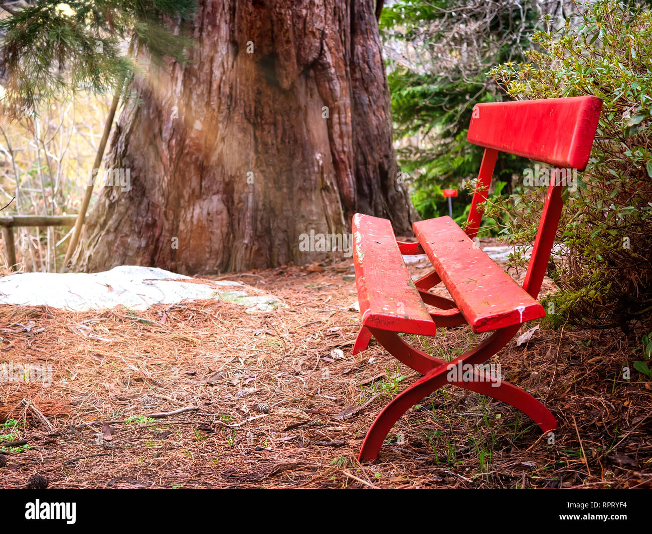 Red old bench hi-res stock photography and images - Alamy