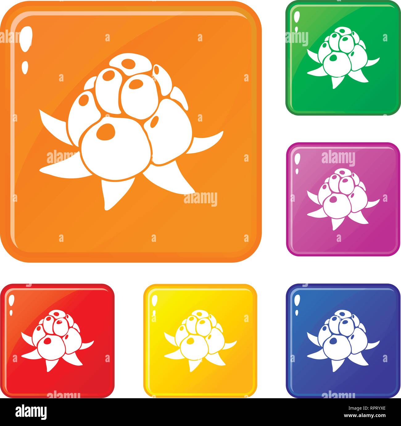 Wild raspberry icons set vector color Stock Vector Image & Art - Alamy