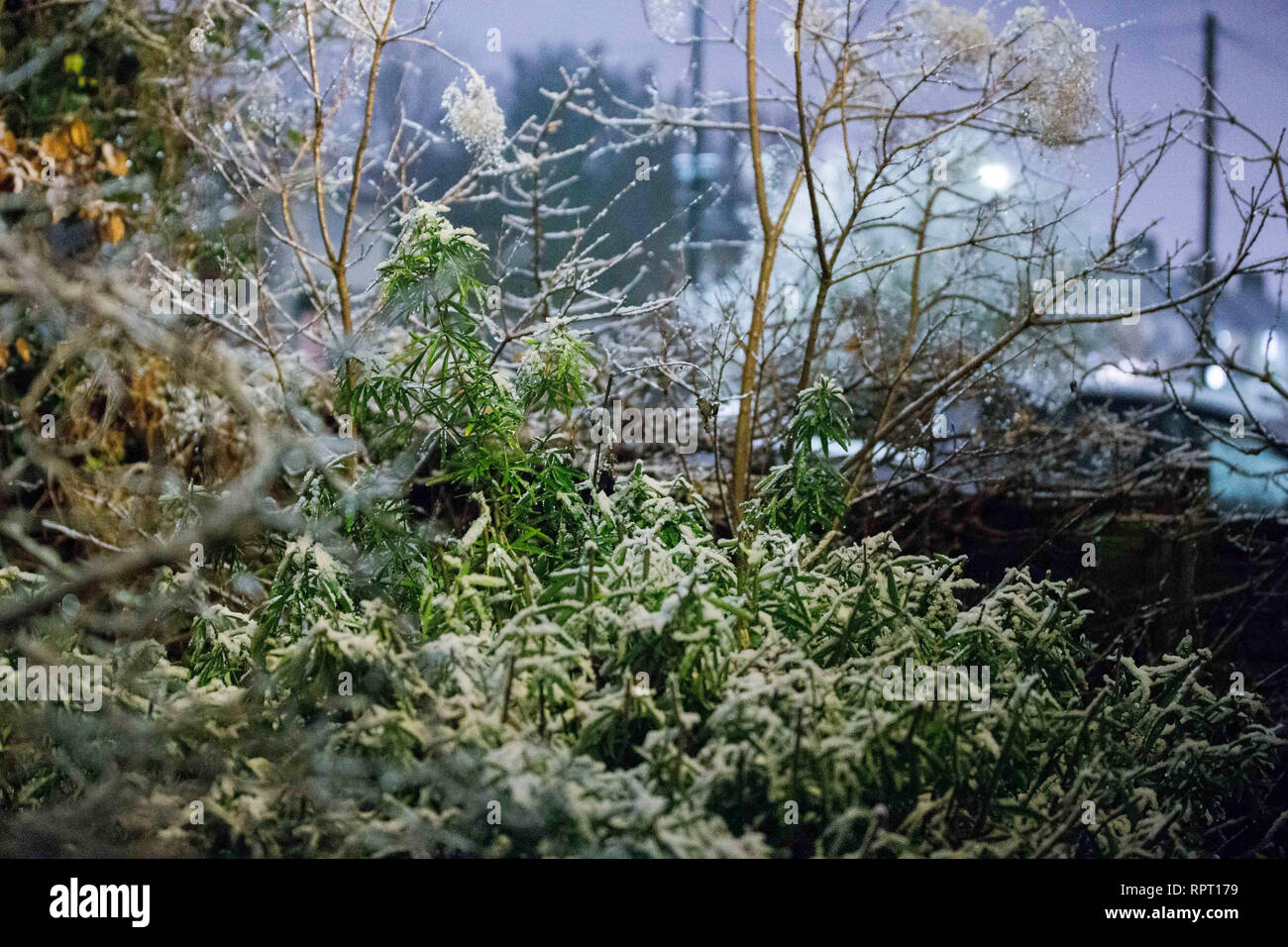 Snowfall in Northolt, West London Featuring: Atmosphere, View Where ...