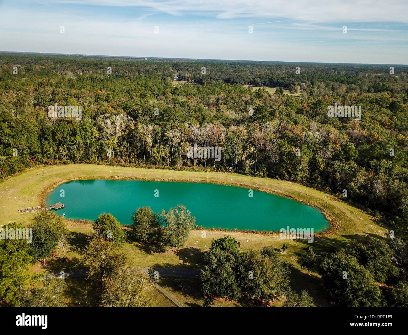 Small Body of Water from Aerial Drone View in Dense Forest Greenery ...