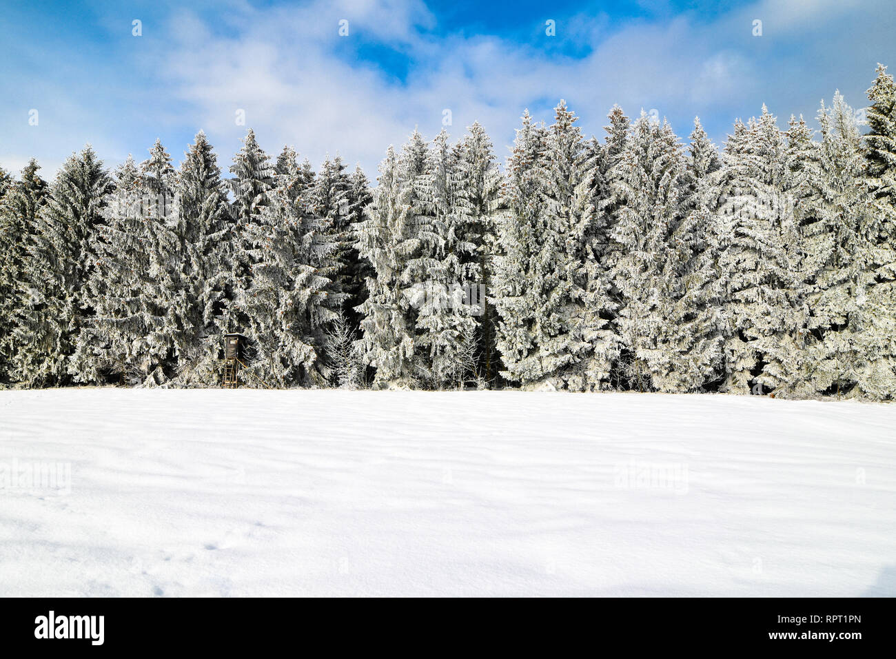 Beautiful winter forest hi-res stock photography and images - Alamy