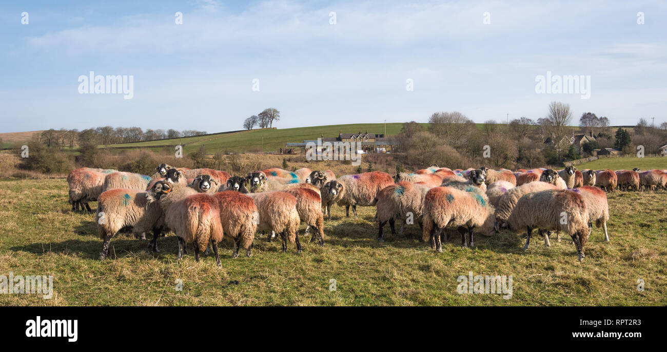 Hellifield Station and Flashes Stock Photo - Alamy