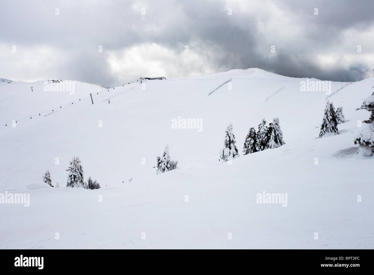 Beautiful landscapes and trees under snow Stock Photo - Alamy