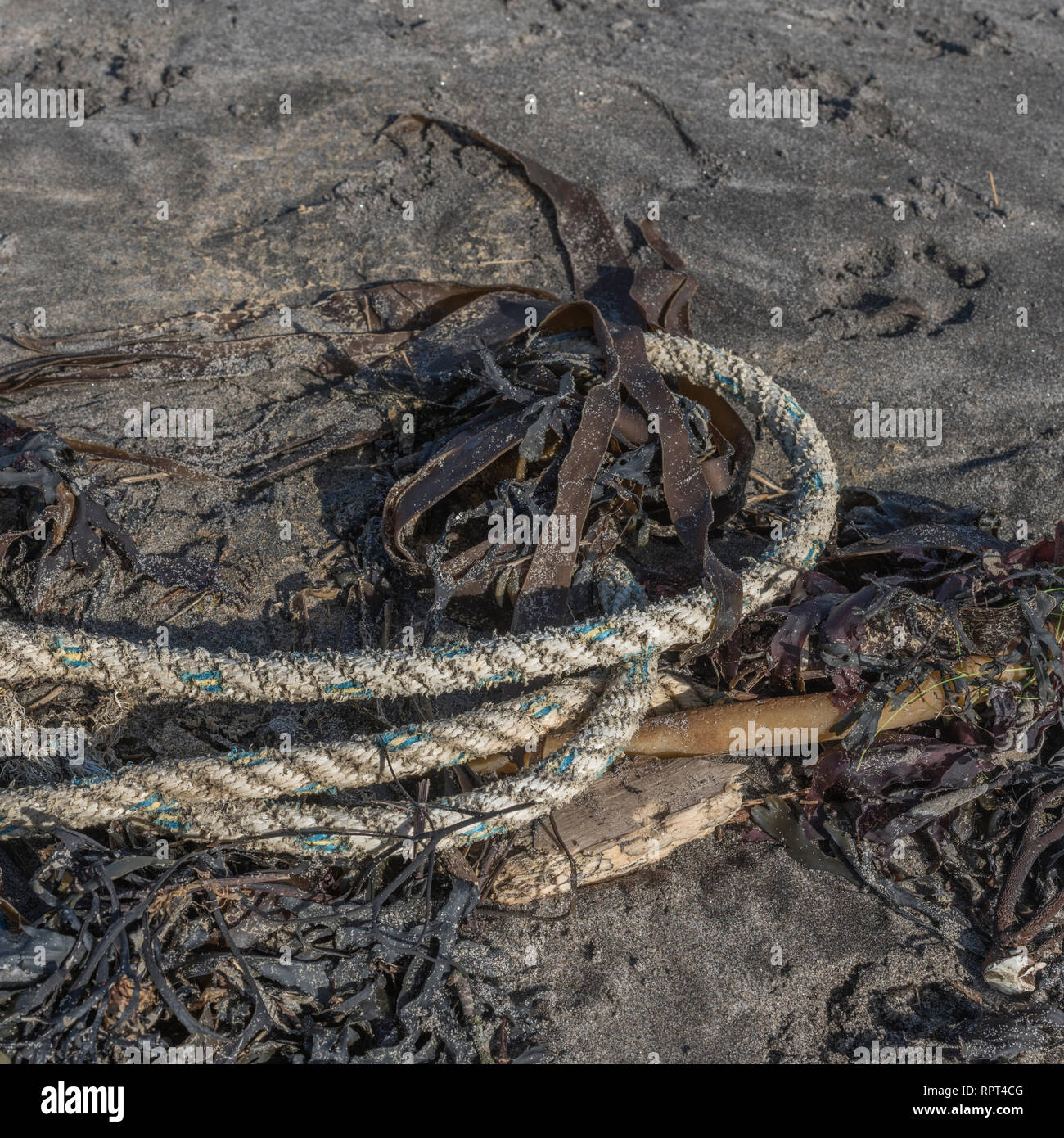 Seashore washed up rope hi-res stock photography and images - Alamy