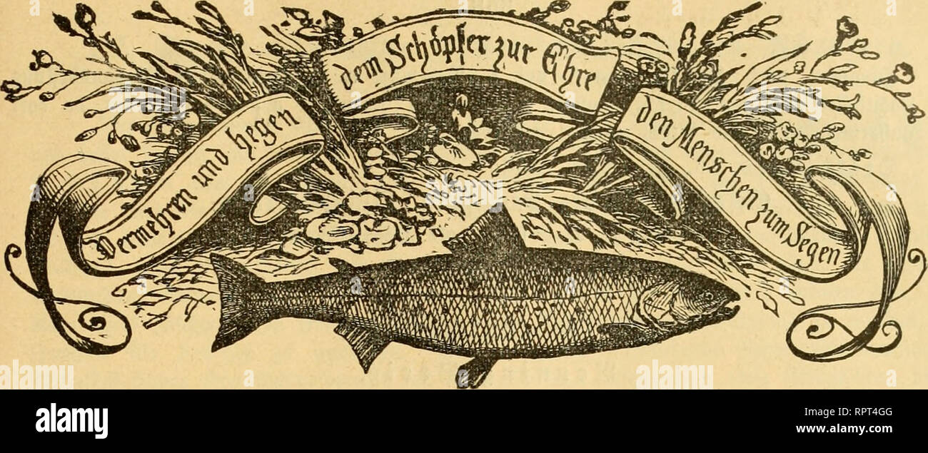 Coition hi-res stock photography and images - Alamy