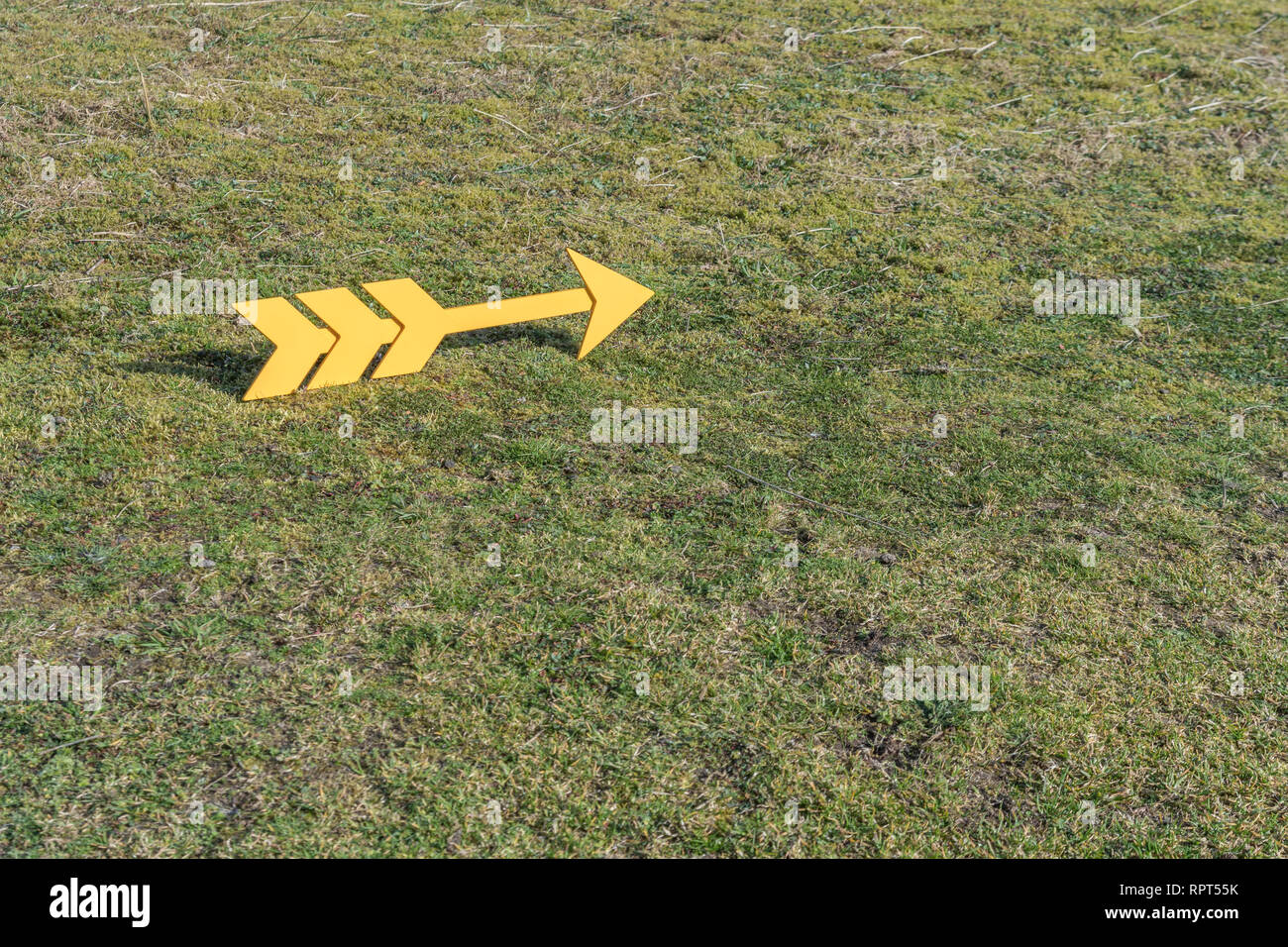 Yellow arrow on short grass, pointing the way ahead. Clear direction ...