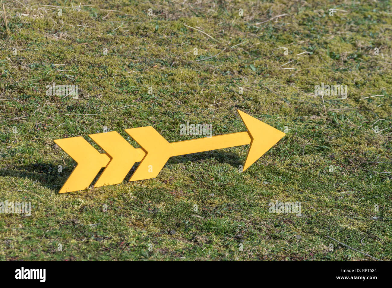 Yellow arrow on short grass, pointing the way ahead. Clear direction ...