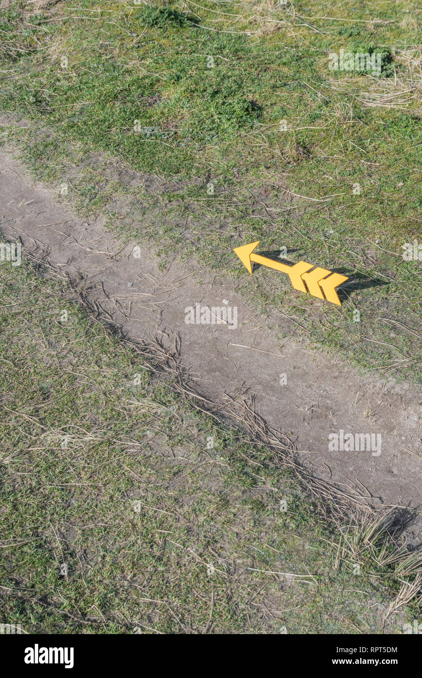Yellow arrow on short grass, pointing the way ahead. Clear direction ...