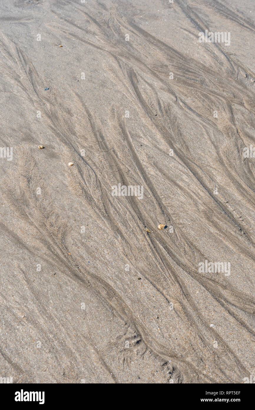 Sedimentary fluid sand flows/, Mars-like water fluvial ridge patterns ...