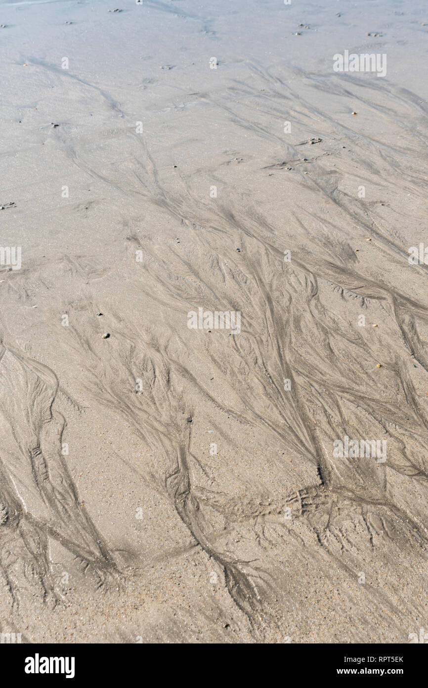 Wet Ones High Resolution Stock Photography and Images - Alamy