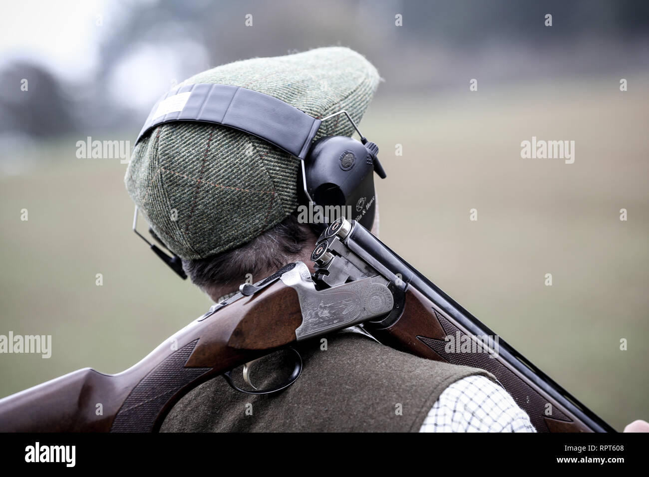 Pheasant shoot with gun dogs Stock Photo - Alamy