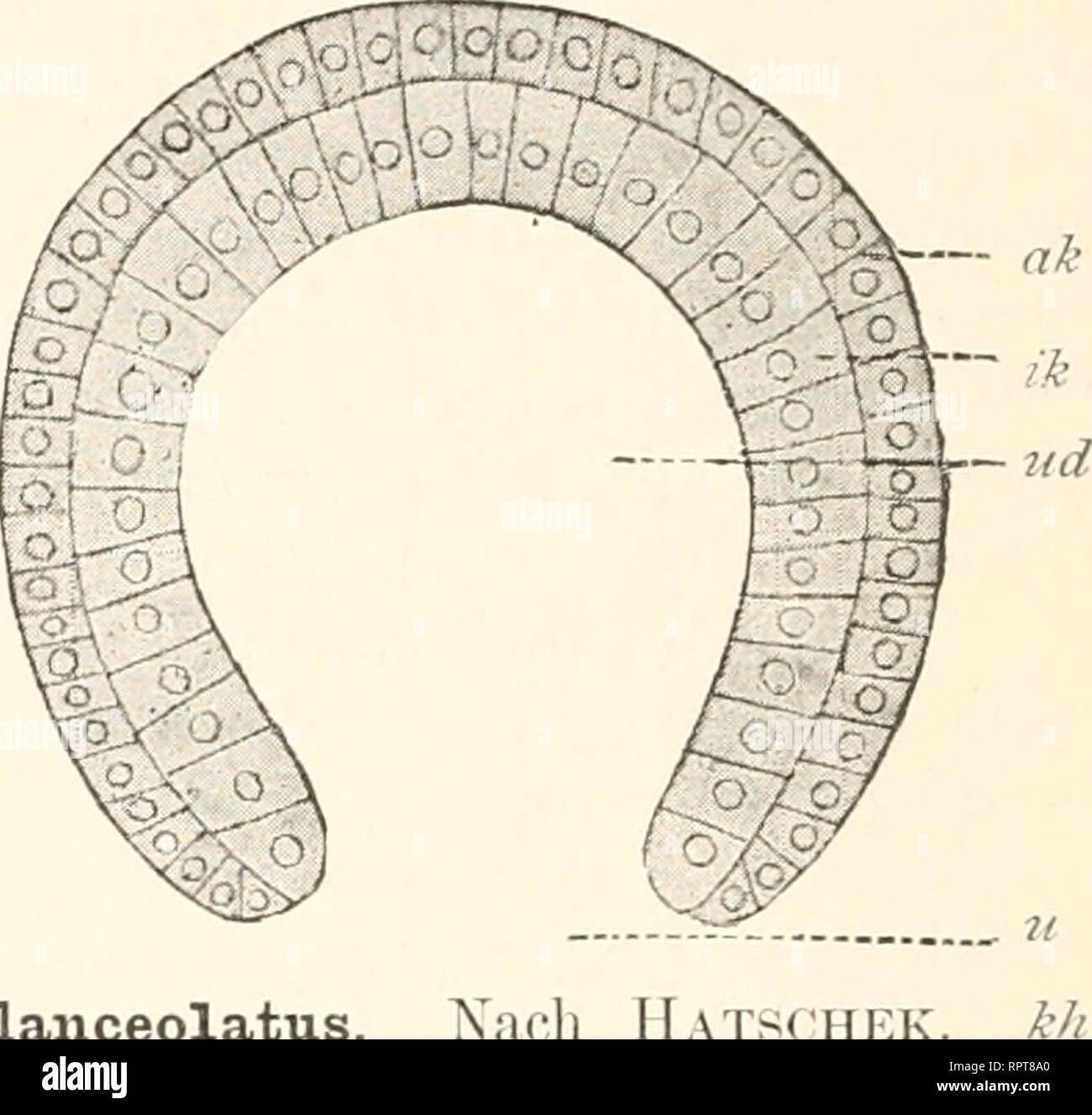 Hohere bildung hi-res stock photography and images - Alamy