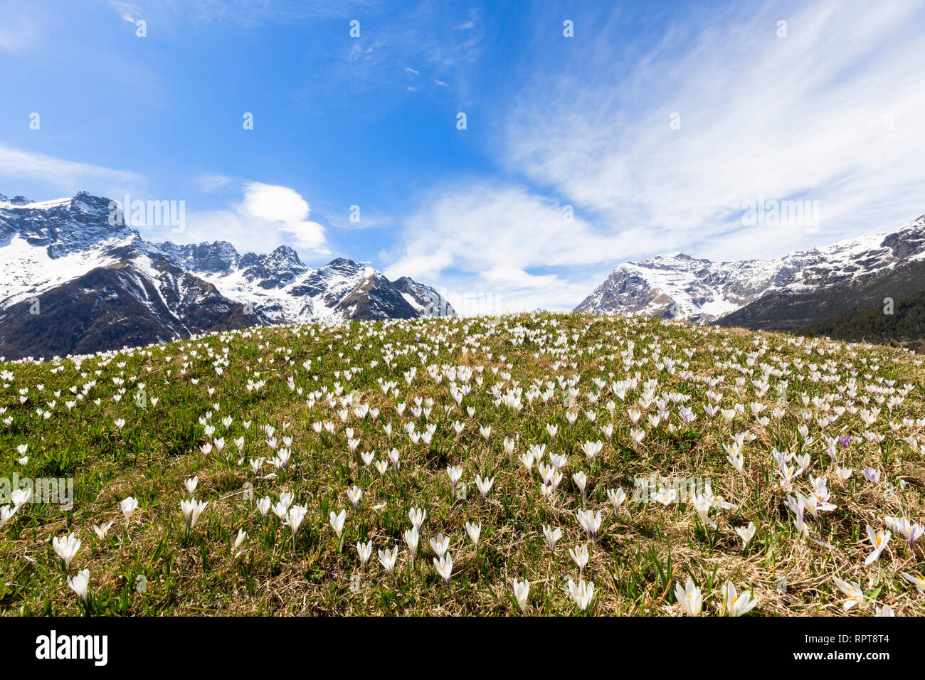 Barchi di san giuseppe hi-res stock photography and images - Alamy