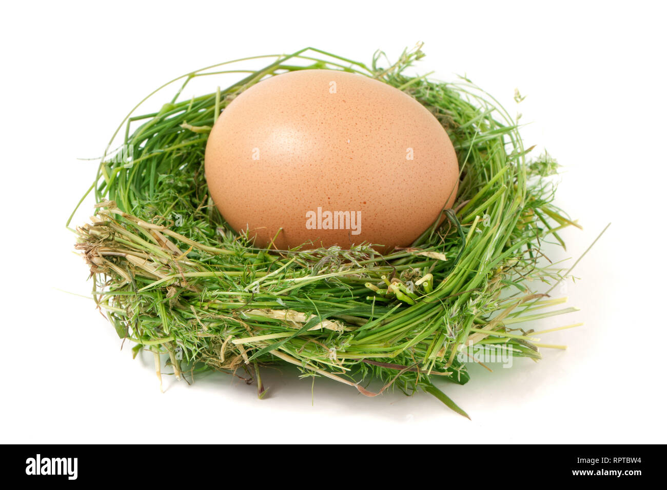Egg in the nest of green grass isolated on white background Stock Photo ...