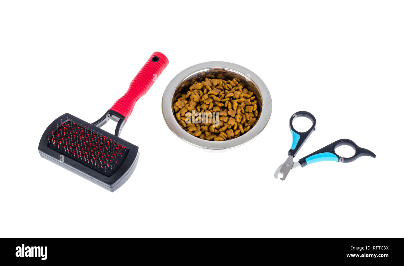 Isolated flat pet shop Cut Out Stock Images & Pictures - Alamy