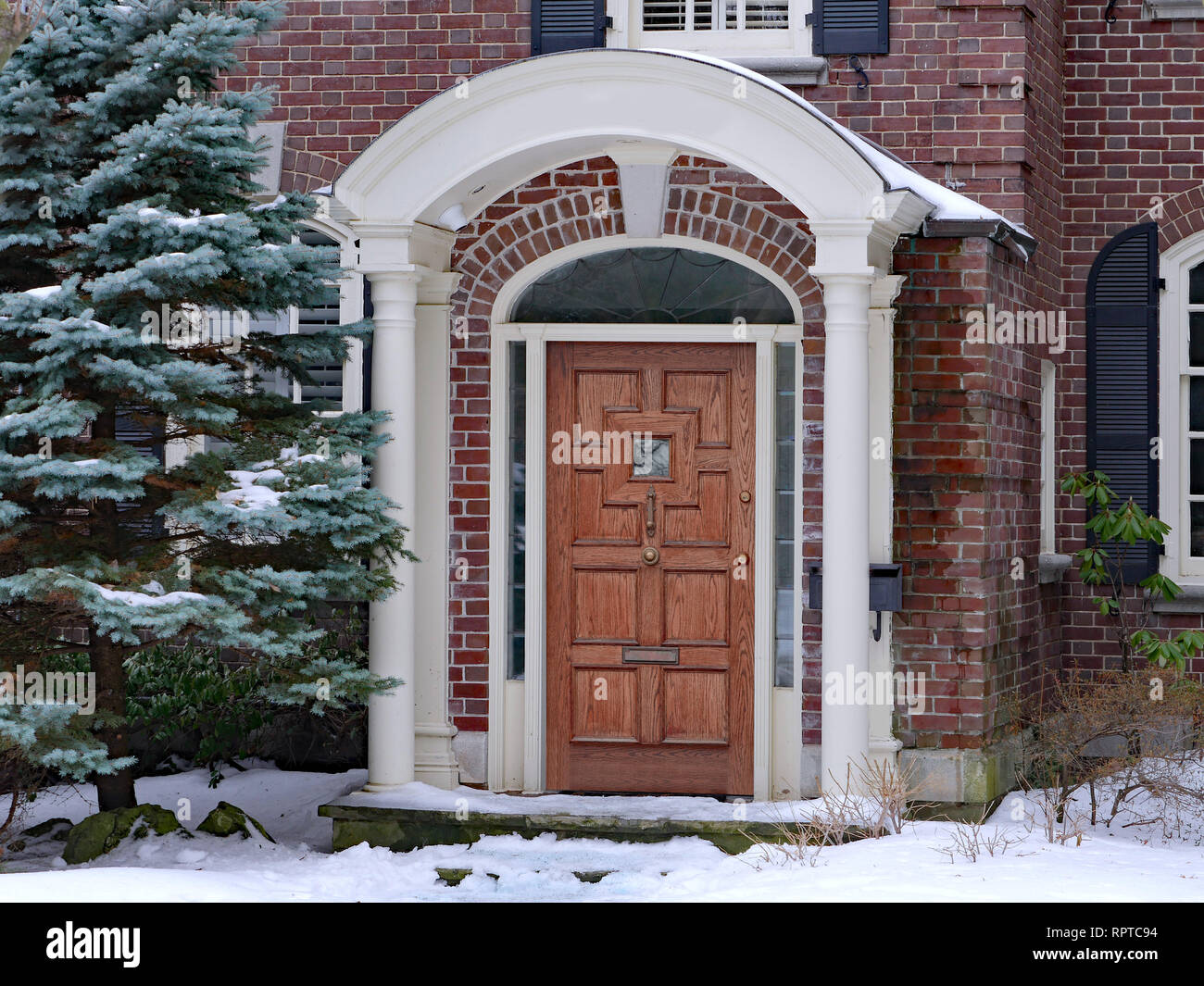 portico entrance of brick house with elegant wooden door and pine tree ...