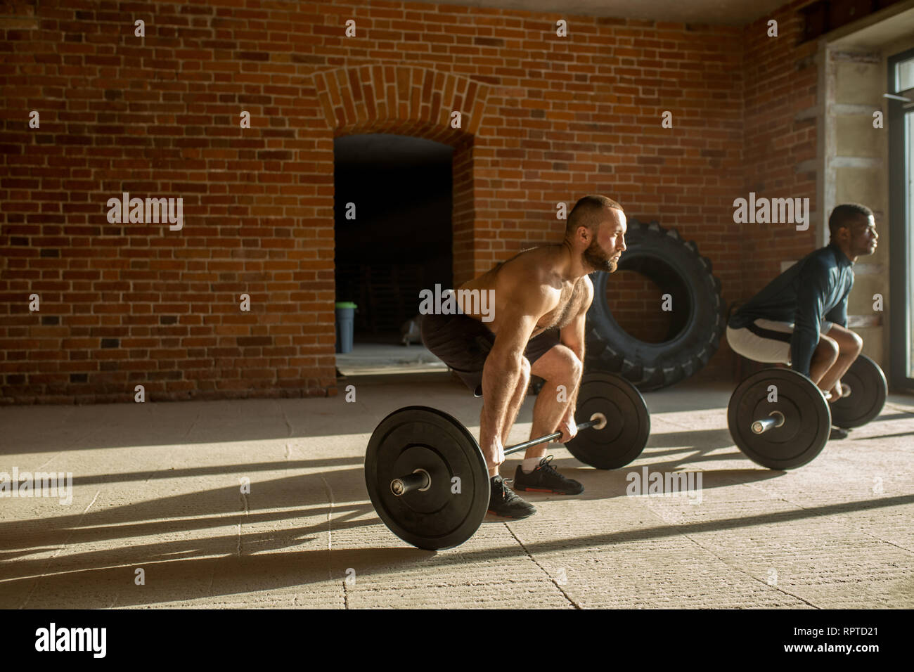 Two handsome multiethnic weightlifters exercising in gym, doing squats ...