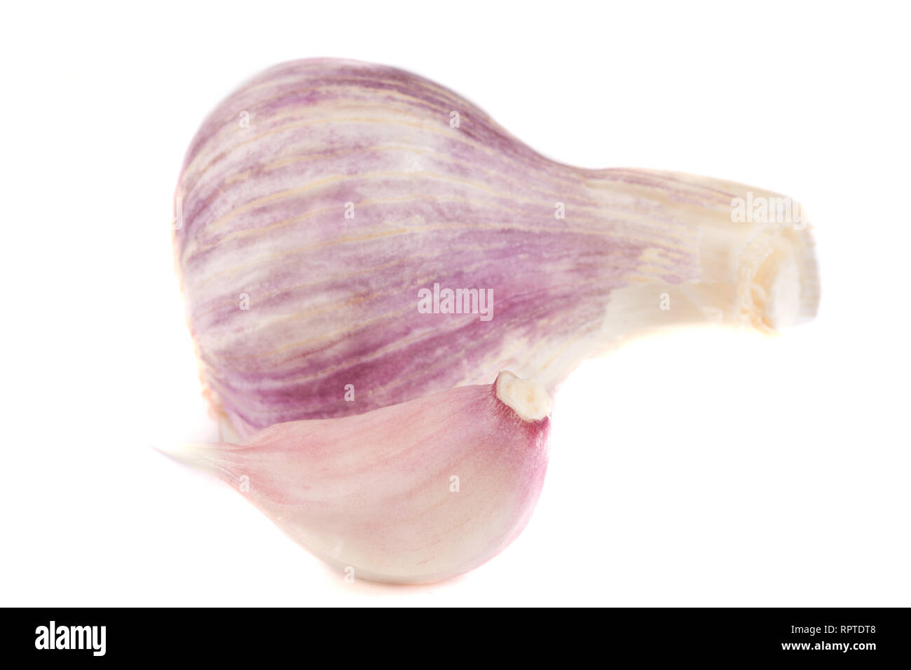 One fresh garlic isolated on white background Stock Photo - Alamy