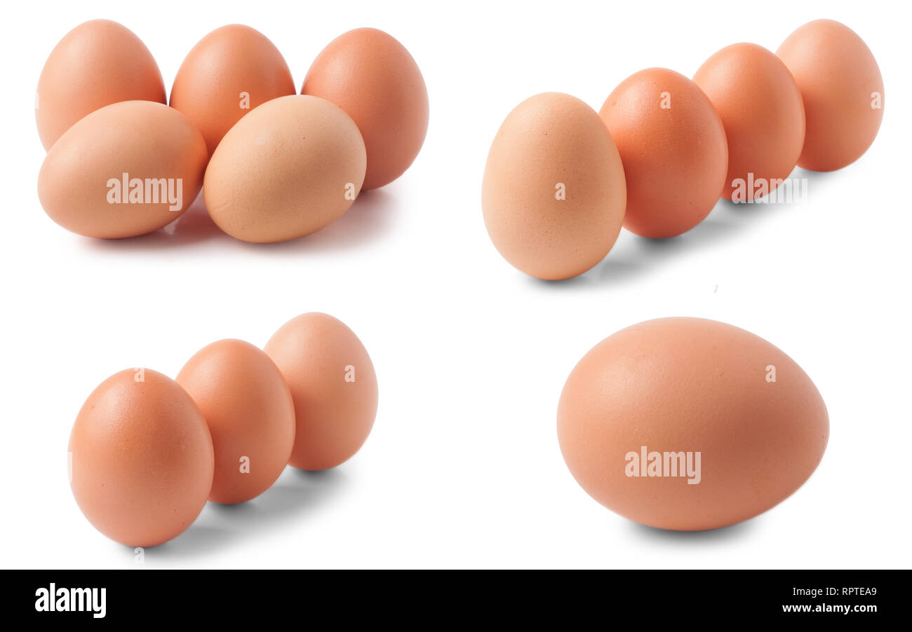 Bird egg collection hi-res stock photography and images - Alamy