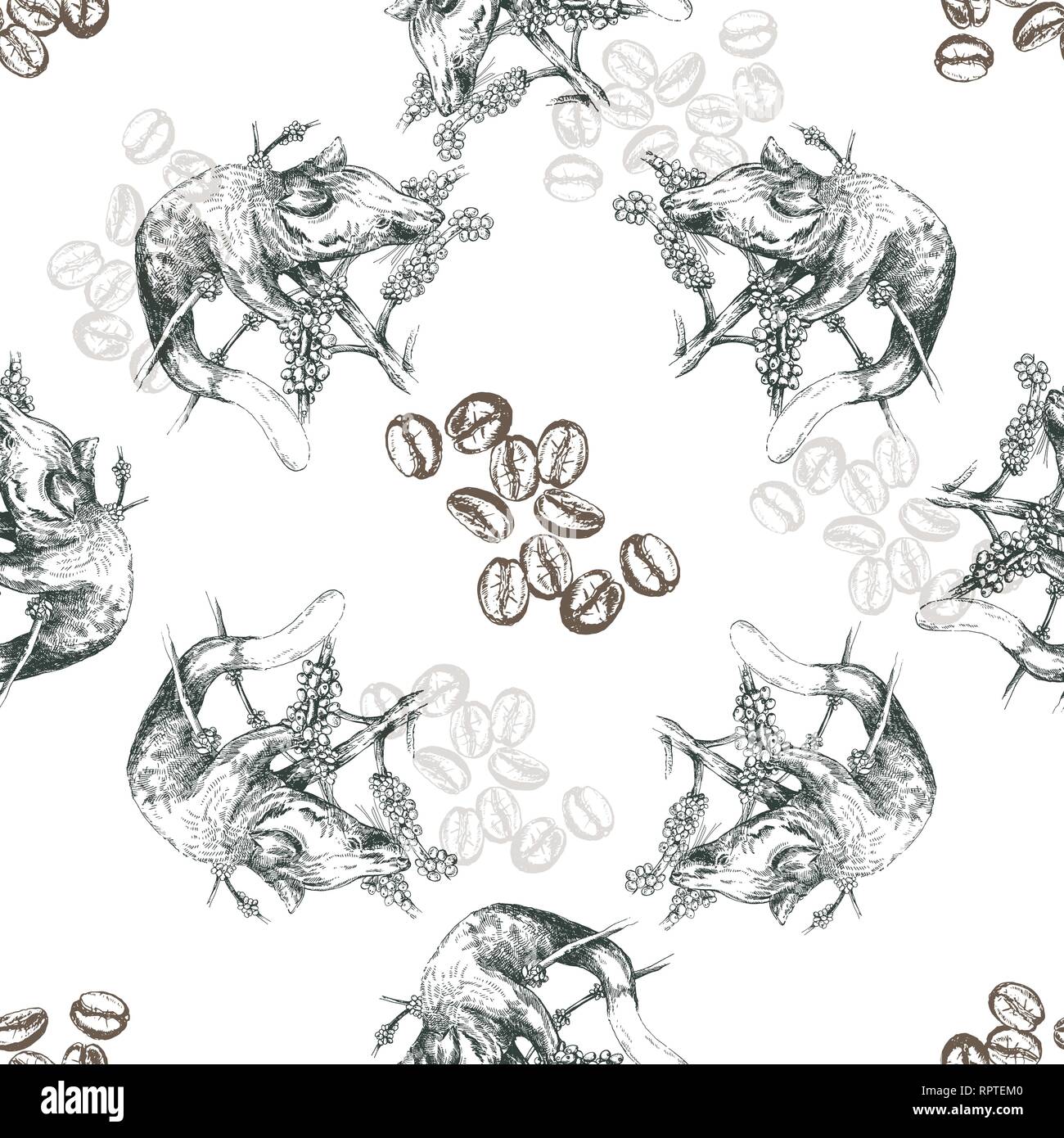 Seamless pattern of hand drawn sketch style civet isolated on white ...