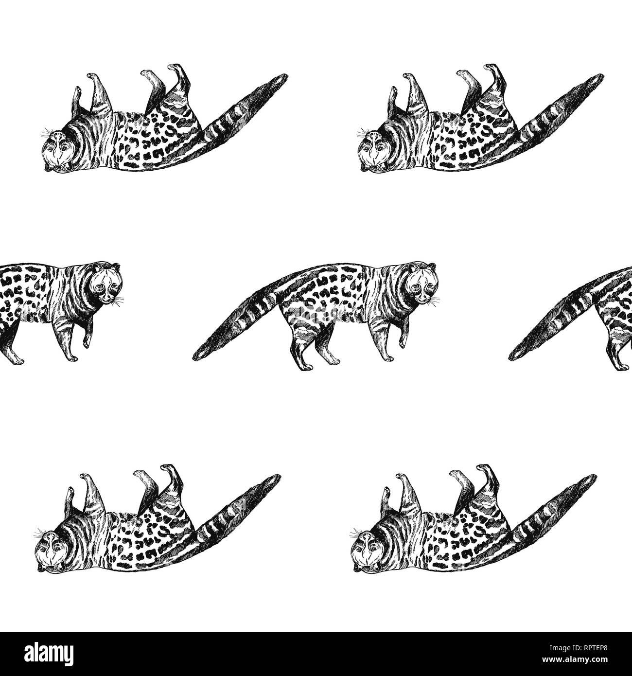 Seamless pattern of hand drawn sketch style genet isolated on white ...