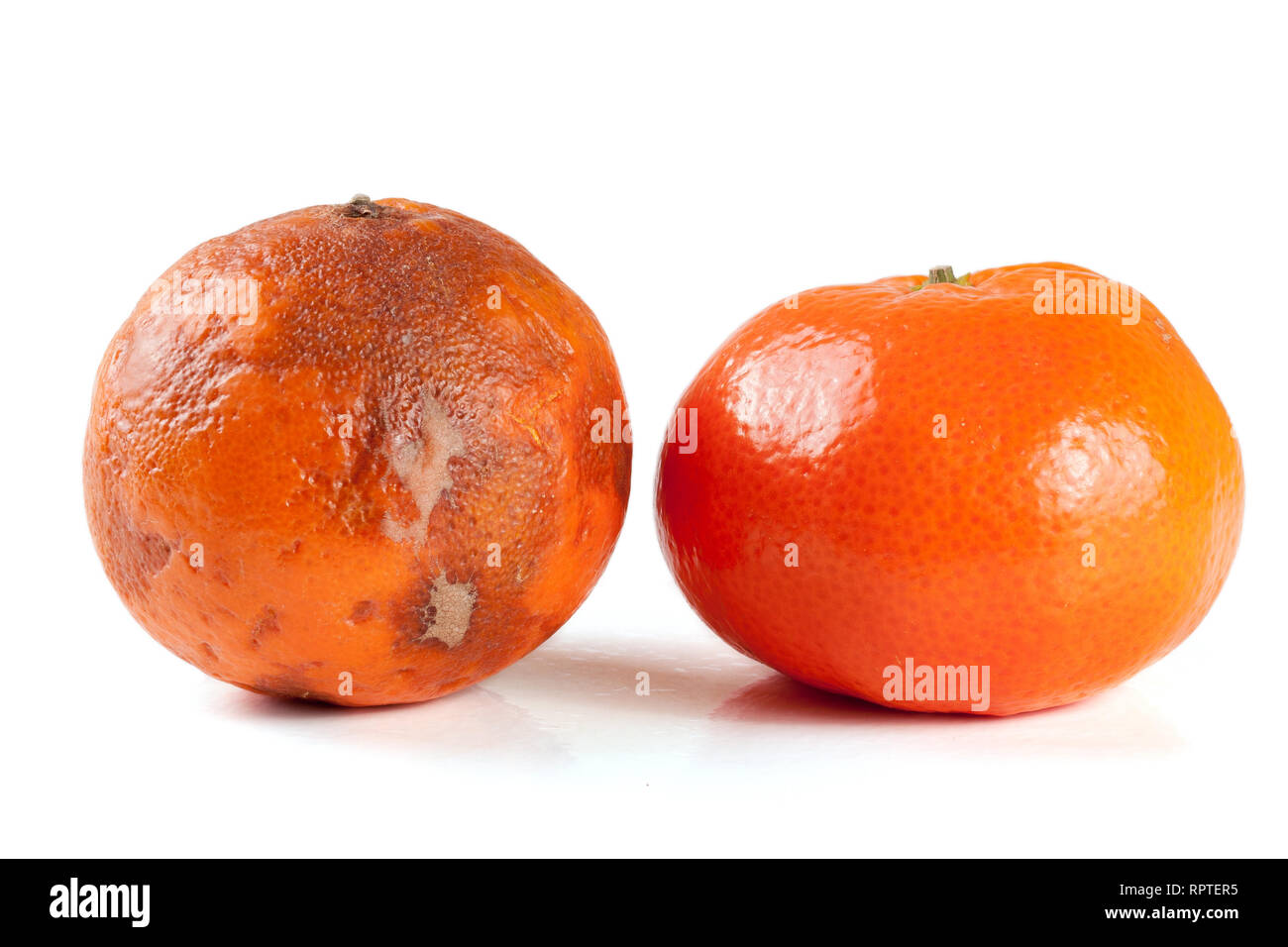 fresh and damaged tangerine isolated on white background Stock Photo ...