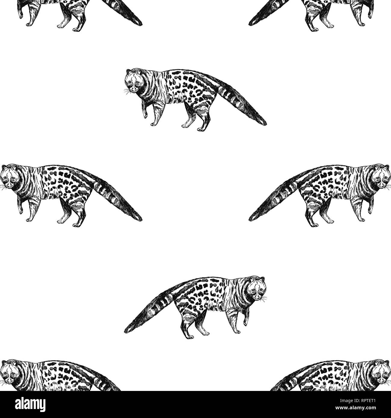 Seamless pattern of hand drawn sketch style genet isolated on white ...