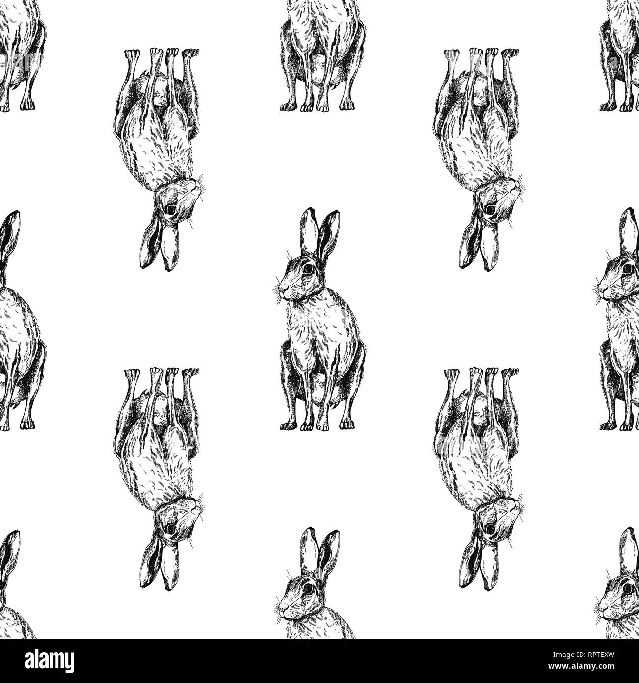 Seamless pattern of hand drawn sketch style hares isolated on white ...