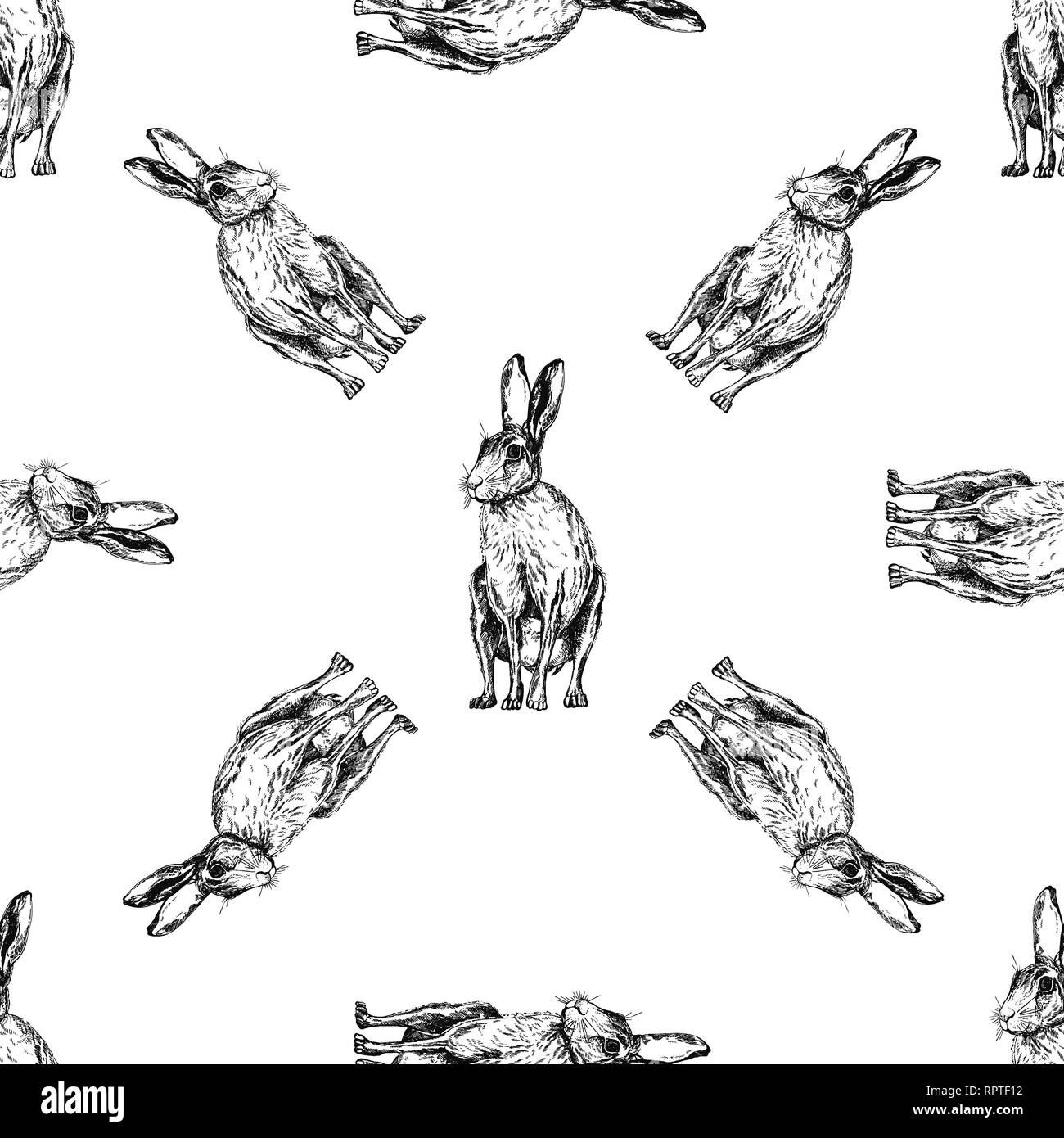 Seamless pattern of hand drawn sketch style jackrabbits isolated on ...