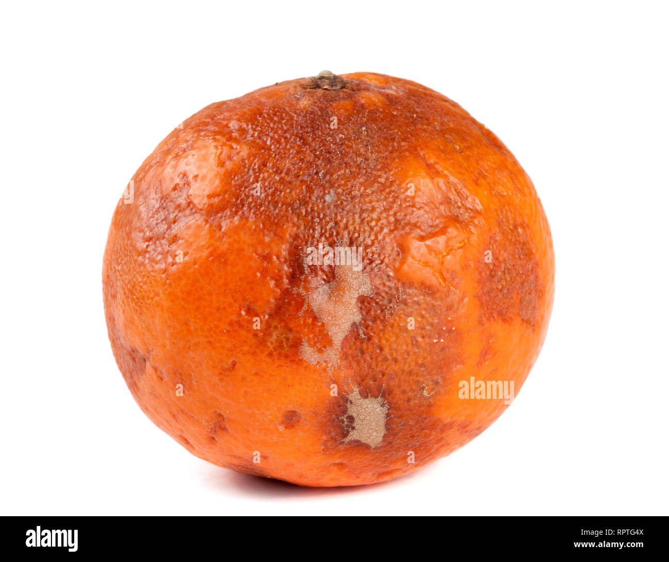 one damaged tangerine isolated on white background Stock Photo - Alamy