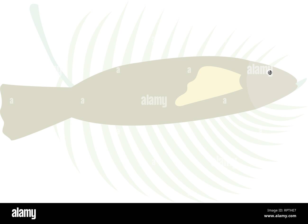 Fish leaf Stock Vector Images - Alamy