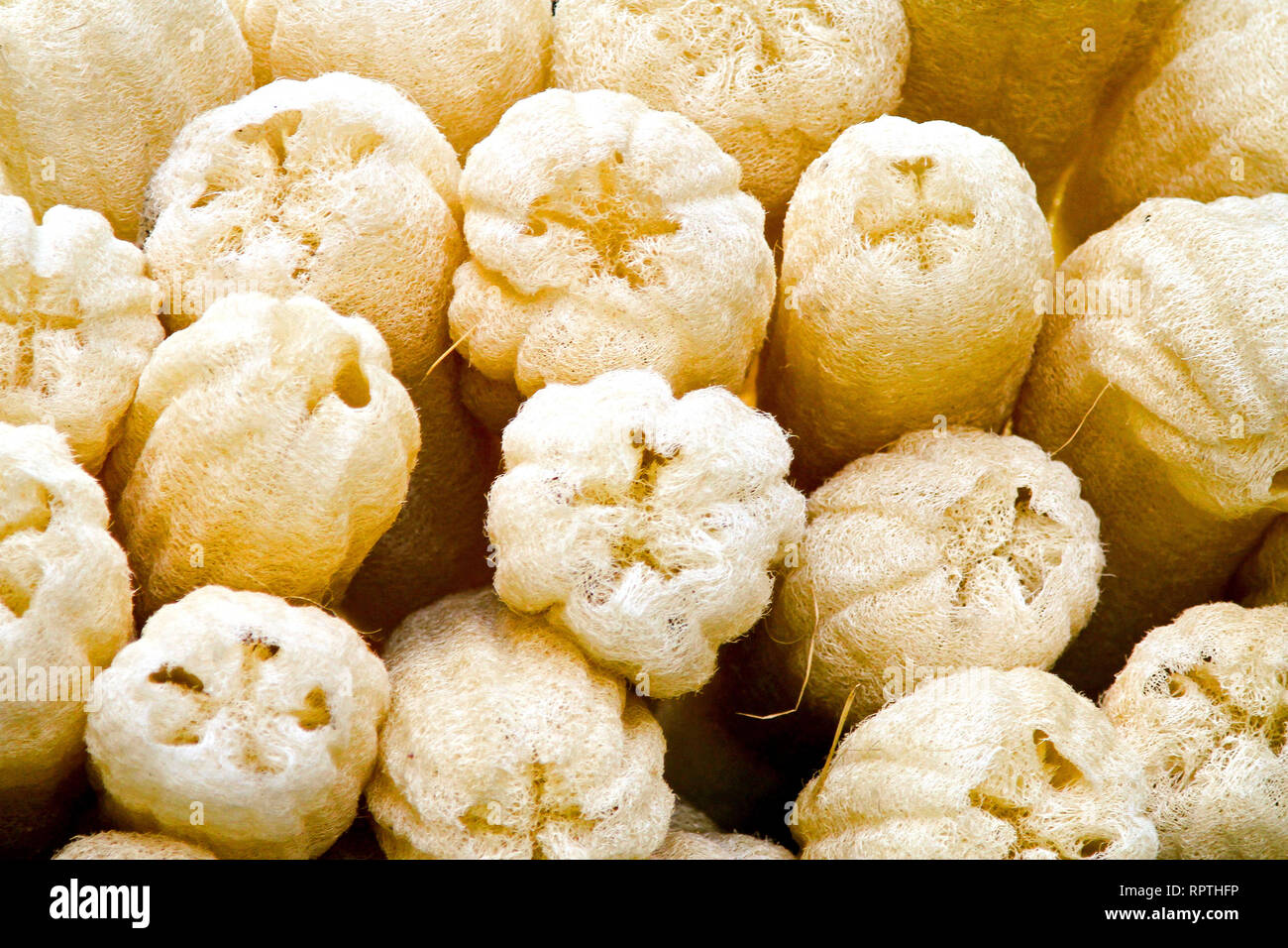 Pile of natural sponges on Cairo market Stock Photo - Alamy