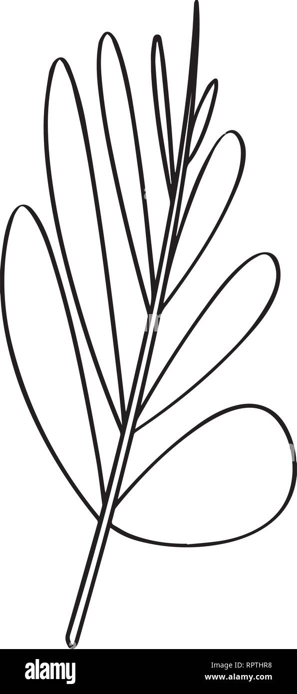 Palm leaf outline hi-res stock photography and images - Alamy