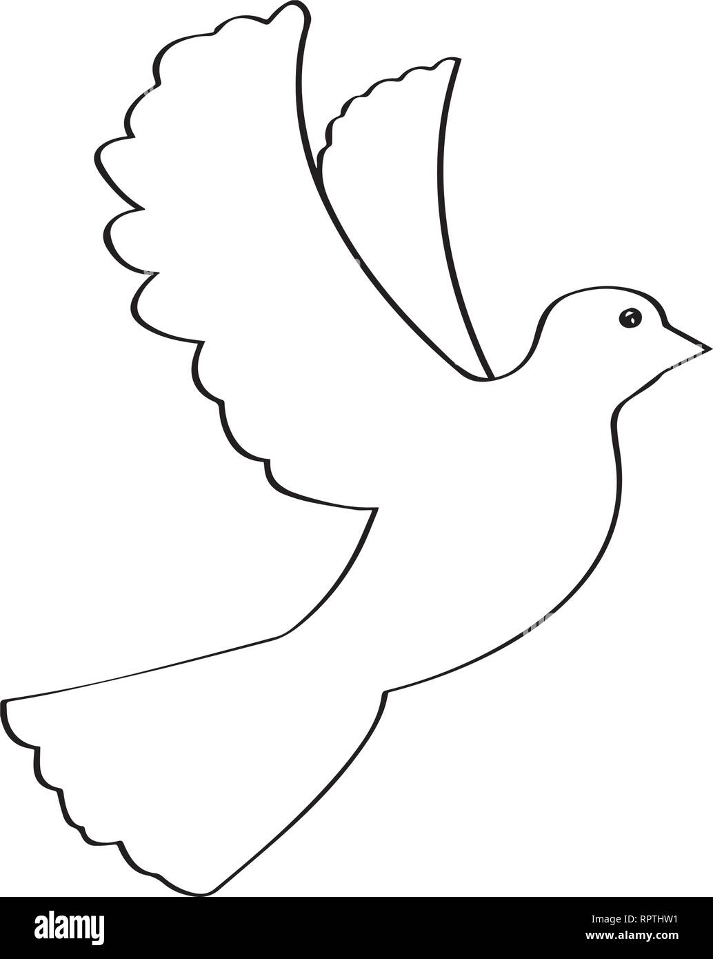 Outline of a pigeon Stock Vector Image & Art - Alamy