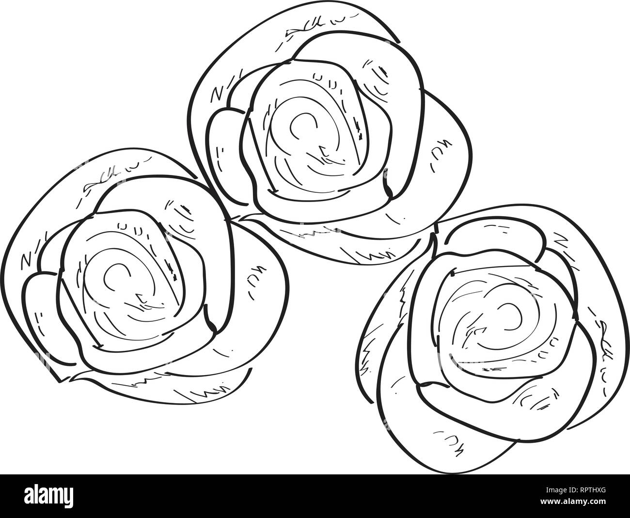 Isolated sketch of a roses Stock Vector Image & Art - Alamy